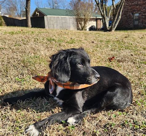 Emma Coren Haley Em Coren • Instagram Photos And Videos