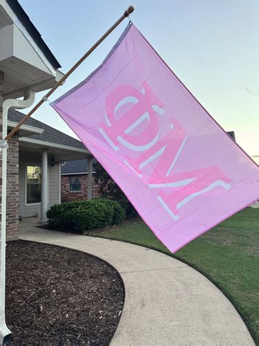 Phi Mu Sorority Flag Rush Greek Ts