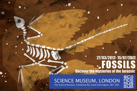 Fossils Poster Design Behance