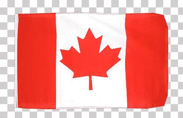 National Bird And Flower Of Canada Best Flower Site