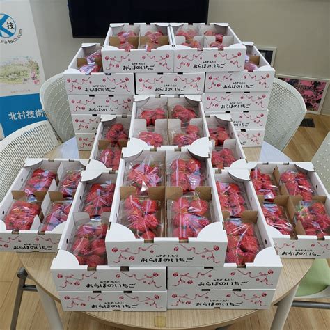 みやぎわたりおらほのいちご 北村技術株式会社