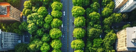 City Investing In Tree Planting For Urban Carbon Neutrality Photo Stock