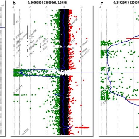 An Example Of Custom Array Cgh Results Case 217 07 A Chromosome 9