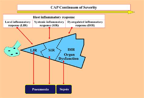The Physiologic Host Local And Systemic Response Characterize Patients