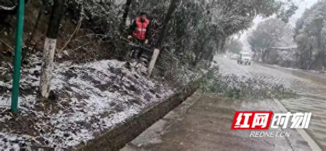 东安县端桥铺镇：踏雪巡山 除雪护林影响山林积雪