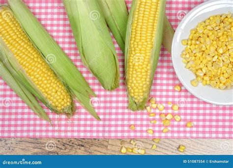 手持玉米的玉米晓夫玉米晓夫玉米晓夫图片第10页大山谷图库