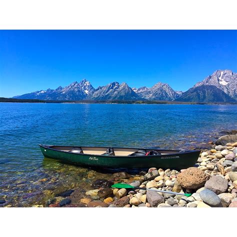 About Miss Kings Fourth Grade Class