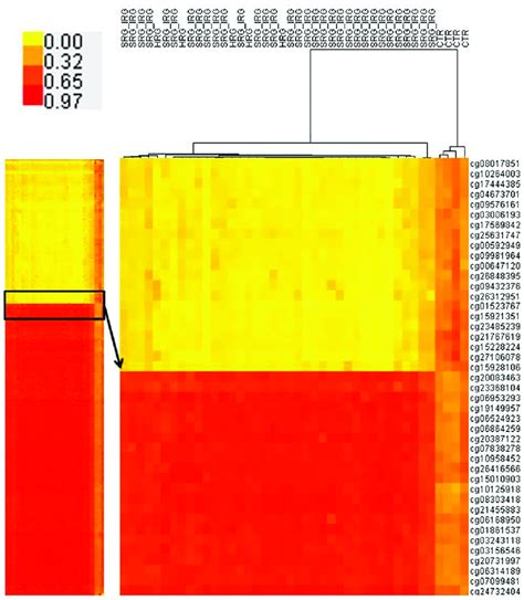 unsupervised hierarchical clustering of methylation profiles with