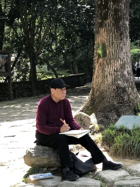 惟妙山水入画来著名画家舒建新笔下的雁荡奇峰 山东站 中华网