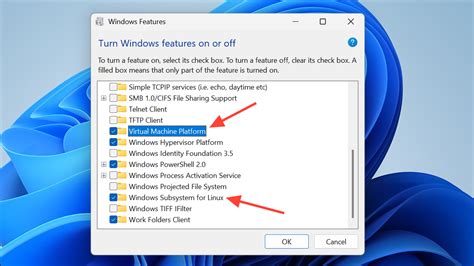 How To Fix The Operation Could Not Be Started Because A Required Feature Is Not Installed Error