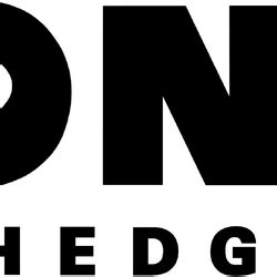 Nintendo Ds Logopedia Fandom Powered By Wikia