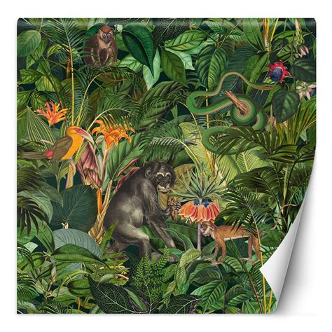 Feeby Fototapeta Dżungla Zwierzęta Zielone Liście Andrea Haase 250X250