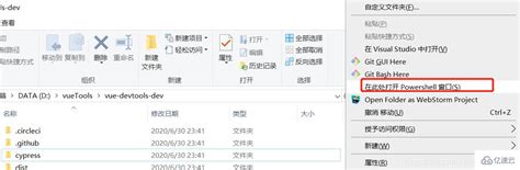 安装vuejs Devtools的方法 编程语言 亿速云