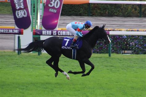 イクイノックス 天皇賞秋制覇。 サラリーマンの一口妄想馬主ブログ。