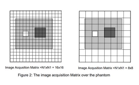 Background Computationally A Virtual Phantom Is A