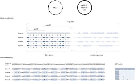 Development And Implementation Of Whole Genome Sequencing Based Typing Schemes For