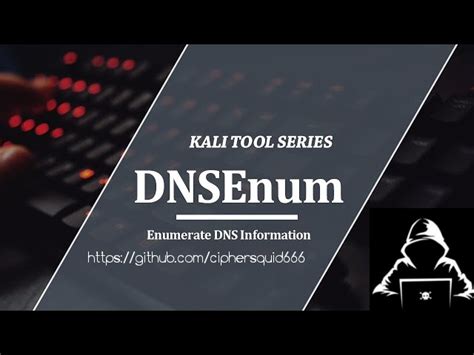Github Ciphersquid666dns Enumerator This Tool Scans A Websites