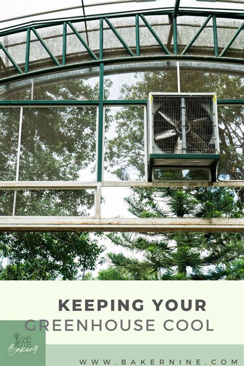 Keeping Your Greenhouse Cool In The Summer Time Baker9 Tropical