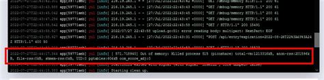 fixing memory exhaustion bugs in my golang web app r programming