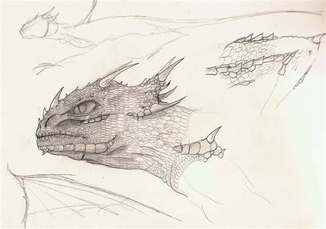 Dragon Head Sketch By Kimded On Deviantart