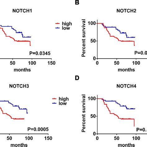 The Prognostic Value Of Expression Level Of Notch Receptors In Gastric