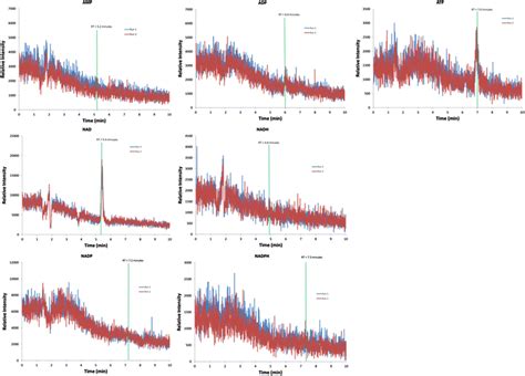 Mass Spectrometry Signal Suppression Brought About By Cell Extract