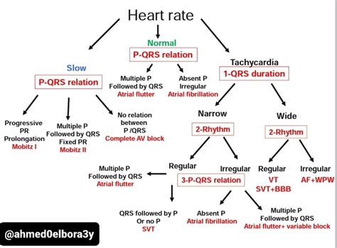 Ahmed Elborae On Linkedin Quick Algorithm For Arrhythmias Diagnosis For Undergraduate