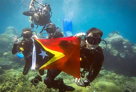 Compass Diving Timor Leste At Marilyn Millender Blog