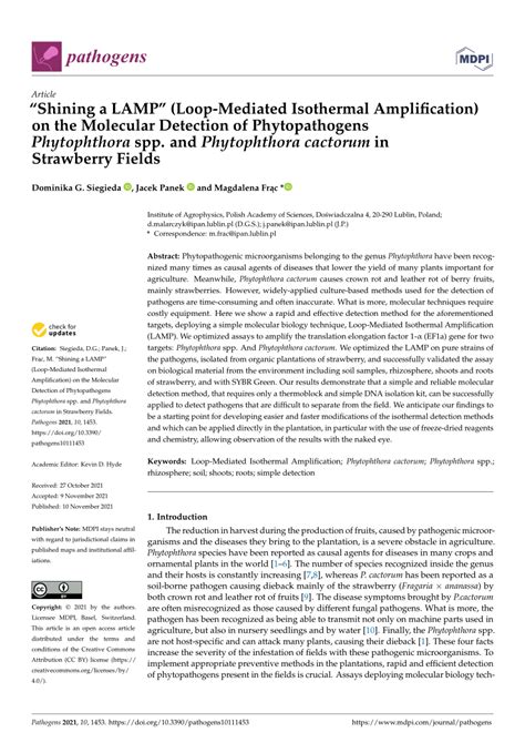 Pdf Shining A Lamp Loop Mediated Isothermal Amplification On The Molecular Detection Of