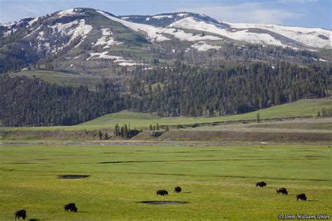 Yellowstone Milli Parkı nerededir Soru Denizi