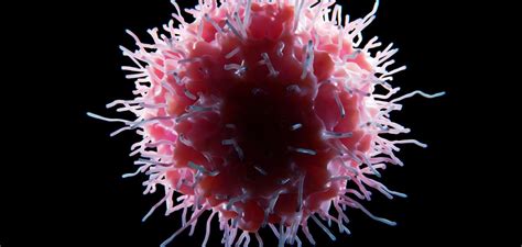Fighting Cancer Through Car Nk Cell Therapy