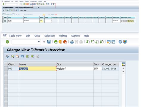 Solved No New Entry Button In Scc4 Sap Community