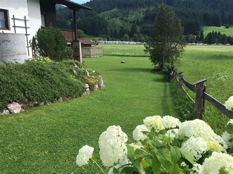 How To Grow The Perfect Lawn Yardyum Garden Plot Rentals