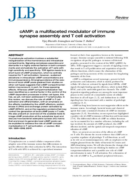 Pdf Camp A Multifaceted Modulator Of Immune Synapse Assembly And T