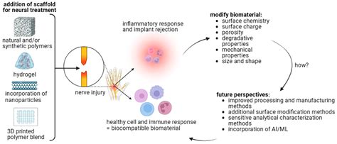 Interactions Of Cells And Biomaterials For Nerve Tissue Engineering