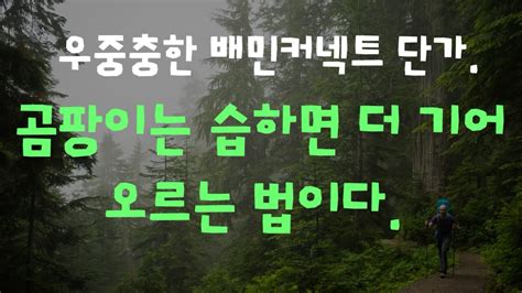 이젠 거짓 정보로도 배달해도 제재 없을듯 배민커넥트 배민 알바 투잡 쿠팡 배달 Youtube