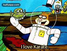 Spongebob And Sandy Cheeks Karate