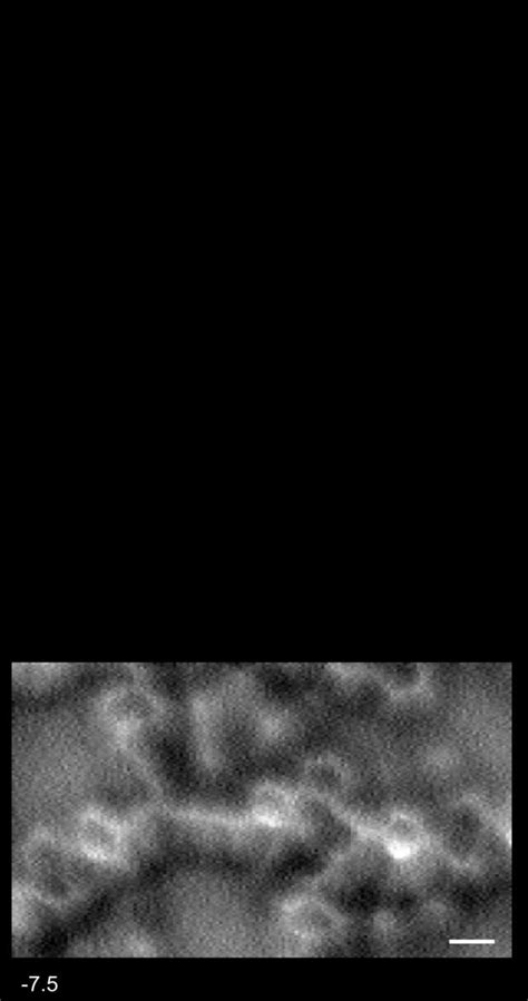 Schematic Drawing Of The Suggested Coupling Schemes Leading To The Download Scientific Diagram