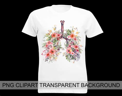 Anatomy Clipart Bronchial Tree Png Lungs Clipart Respiratory System