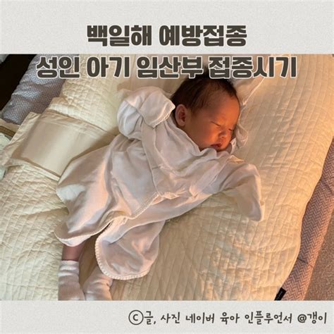 백일해 예방접종 성인 아기 임산부 접종 시기 네이버 블로그