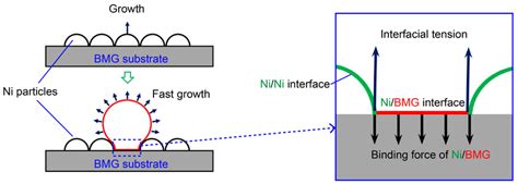 Schematic Diagram Showing The Formation Of Tensile Stress On The Download Scientific Diagram