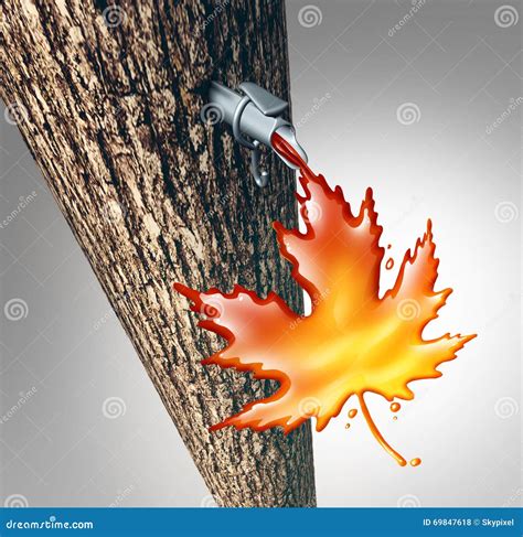 Maple Sugaring Stock Illustrations 5 Maple Sugaring Stock Illustrations Vectors And Clipart