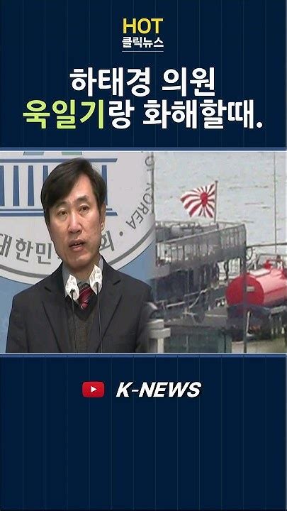 하태경 의원 이제는 욱일기랑 화해할때 Shorts 하태경 욱일기 Youtube