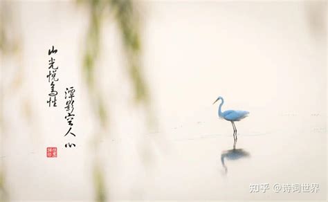 王维最凉薄的一首诗写尽世态炎凉读懂了你就释怀了 知乎