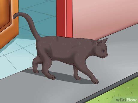 Ways To Stop A Cat From Clawing Furniture WikiHow
