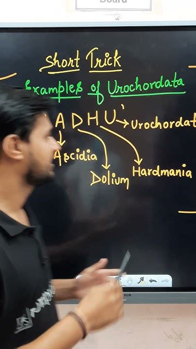 Shorts Learn Examples Of Urochordata Amazing Short Trick Youtube