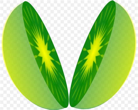 Free Halves Cliparts Download Free Halves Cliparts Png Images Free
