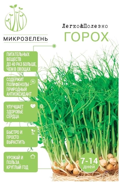 Микрозелень гороха купить пакетированные семена оптом от поставщика
