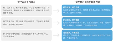 审友A7 项目审计系统 审友数治 更多客户选择的审计软件