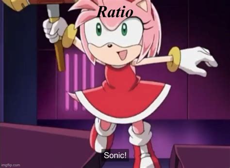 Amused Amy Rose Imgflip